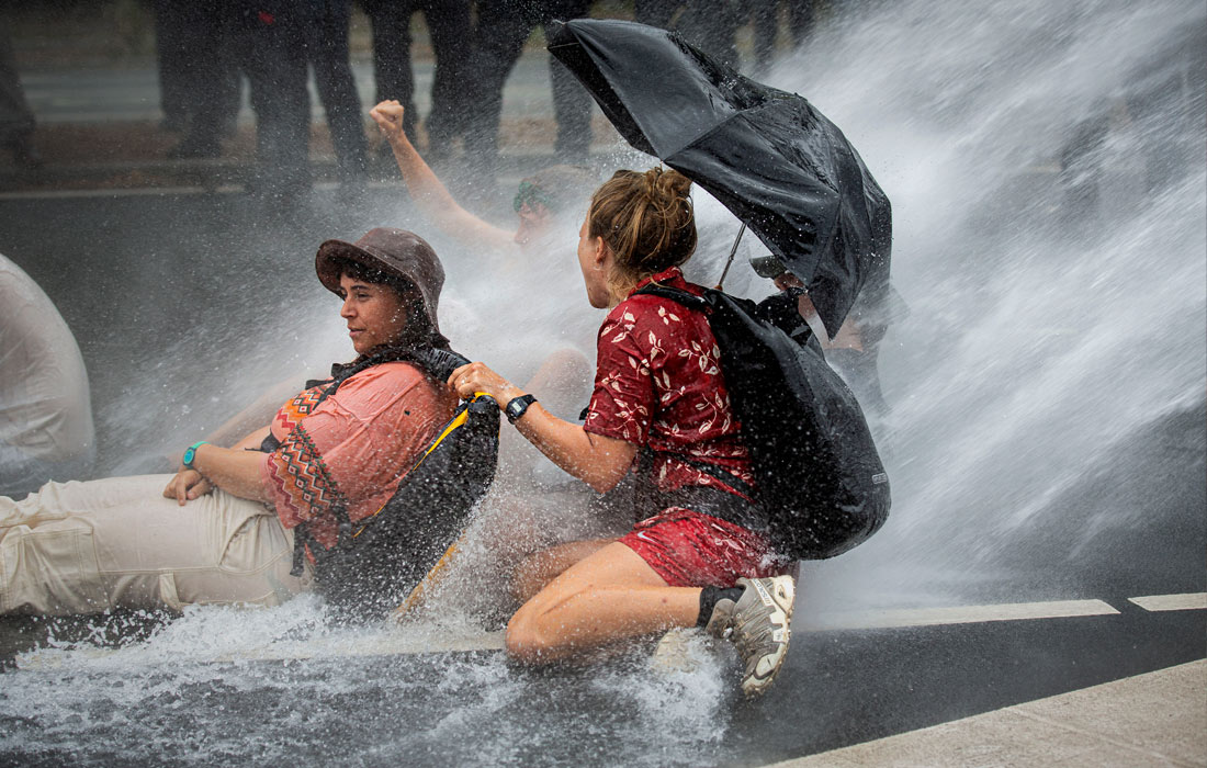 Berlindagi "Pushti atirgul" haykali, Bengal yo‘lbarslari uchun ochilgan ...