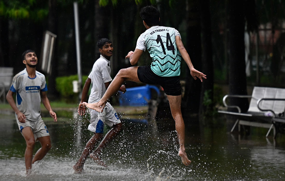 Berlindagi "Pushti atirgul" haykali, Bengal yo‘lbarslari uchun ochilgan ...