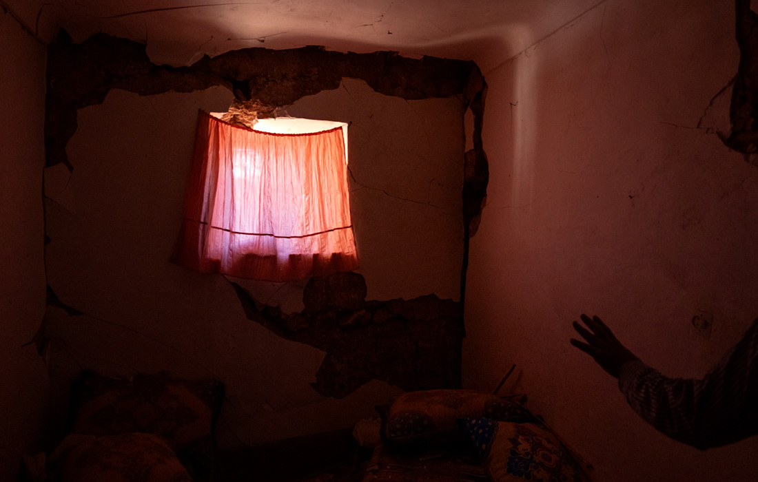 Berlindagi "Pushti atirgul" haykali, Bengal yo‘lbarslari uchun ochilgan ...