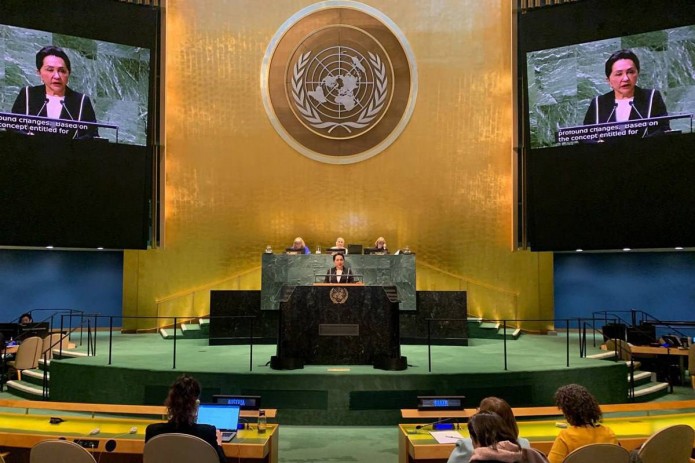 Tanzila Norboyeva BMT minbarida qator tashabbuslarni ilgari surdi ...