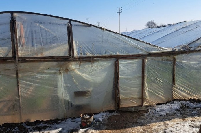 Zangiotada 3 ta issiqxona 87 mln so'mlik gazdan noqonuniy foydalangani ...