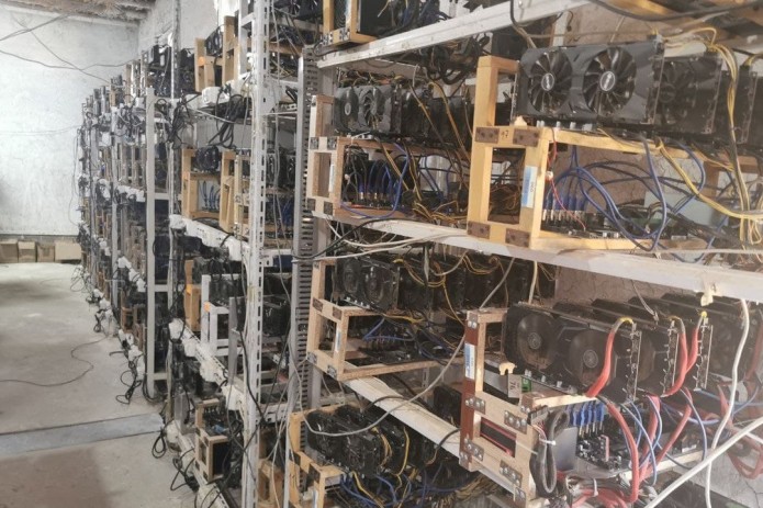 Toshkentdagi xonadonlarning birida mayning ferma tashkil qilingani ...