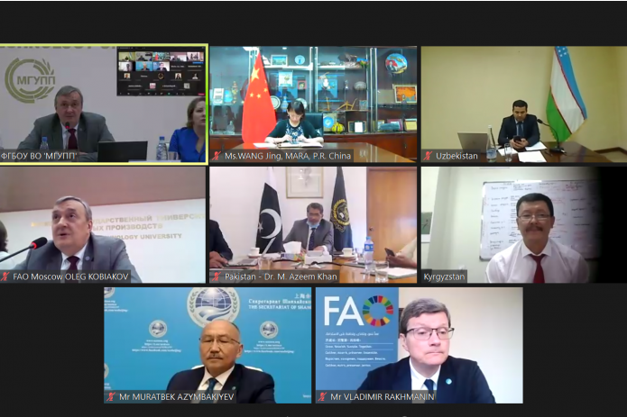 FAO and SCO discuss collaboration in transforming food systems ...