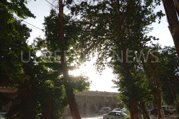 18-may kuni O'zbekistonning ba‘zi hududlarida yomg‘ir yog‘adi | UzReport.news