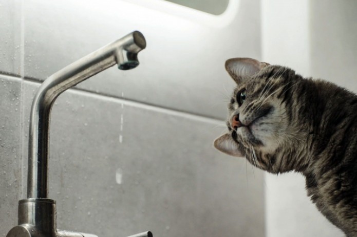 Toshkentning 8 ta tumanida issiq suv 2 kunga to‘xtatiladi | UzReport.news