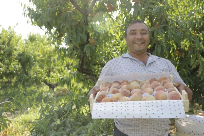 USAID and Uzbek Ministry of Innovation announce 800 million soums cash ...