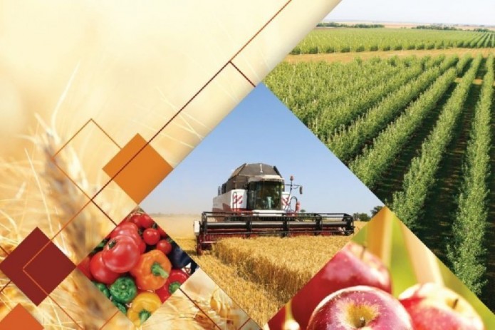 Agroplatforma: digitizing agriculture for transparency and efficiency ...