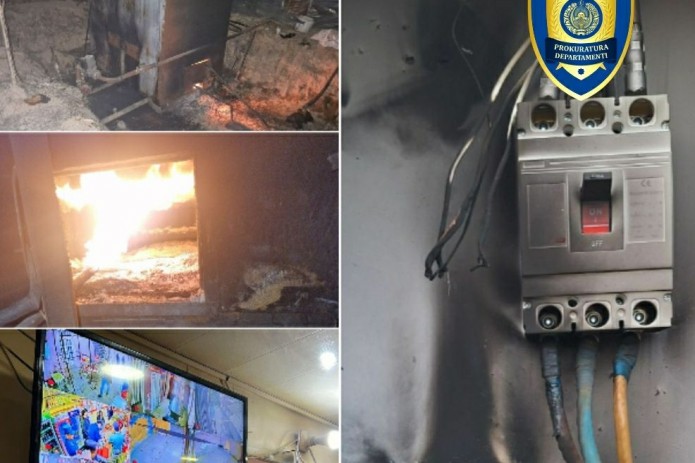 O'zbekistonning 3 ta hududida tabiiy gaz va elektr tarmoqlariga noqonuniy ulanish holatlari ...