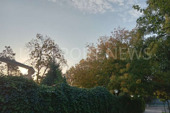 "Yashil to'lov" platformasi joriy qilinadi | UzReport.news