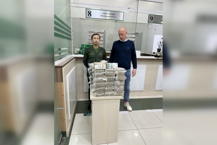 Toshkentda daraxt kesganlardan 3,5 mlrd so‘mdan ko‘proq mablag ...